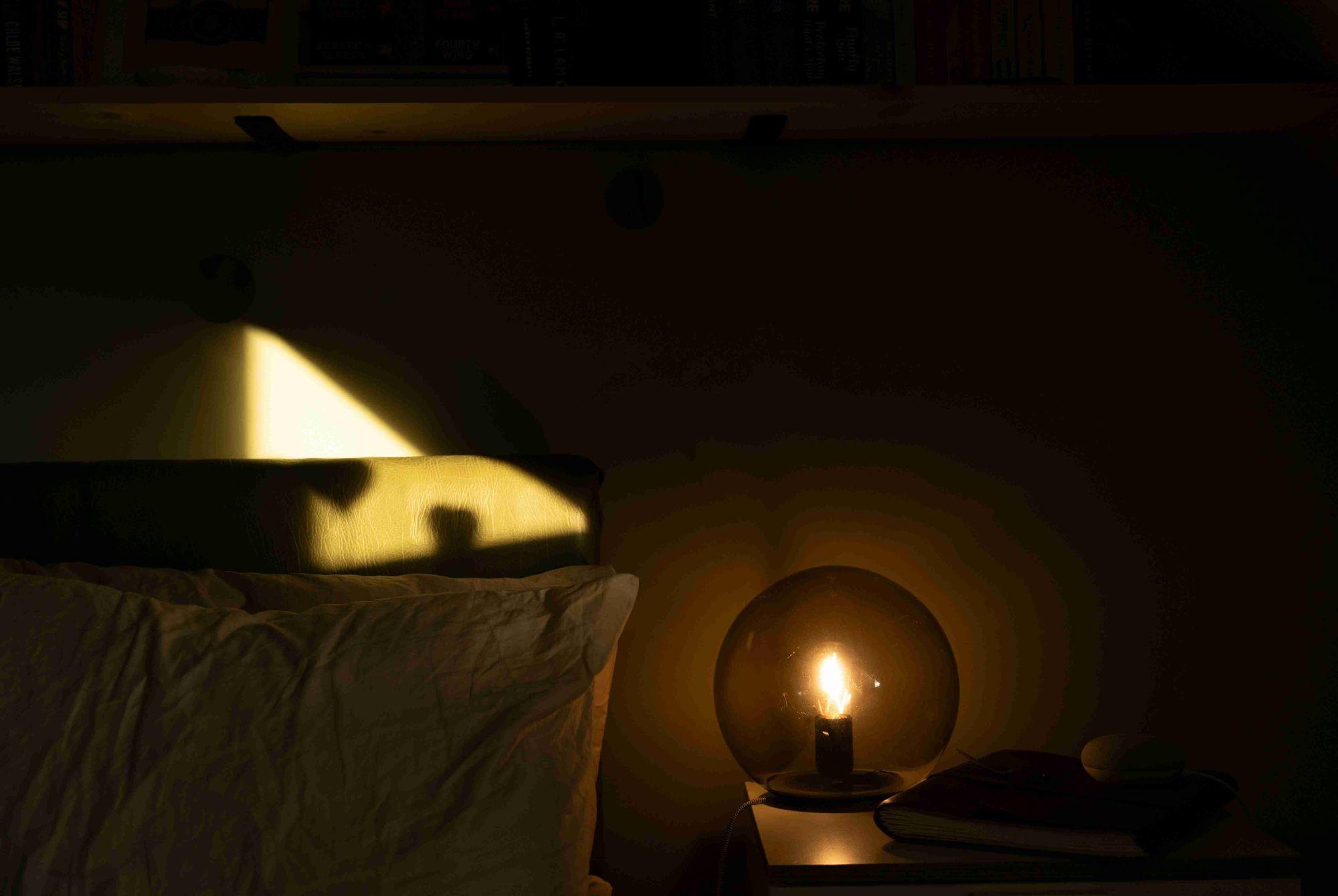 Are Magic Mushrooms Safe To Use Unlimited Sciences